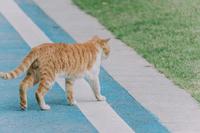 使用JEP(Java Embedded Python)库实现Java调用Python简介 Jep是一种利用JNI(Jav - 掘金